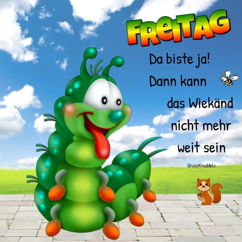 Jappy - Deine Online-Community